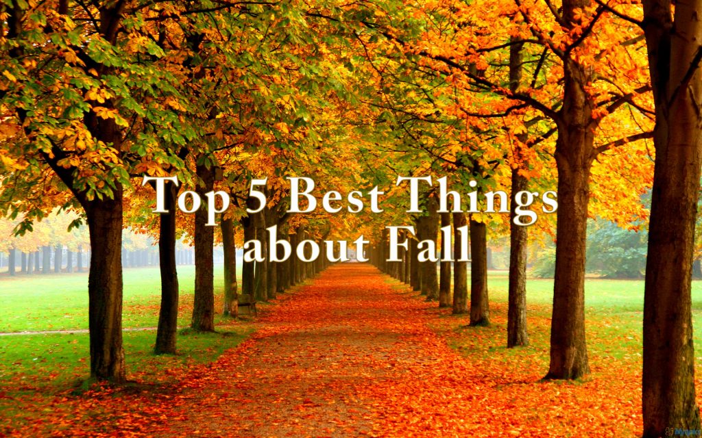 43 Top 5 Best Things About Fall PodCavern 43 Top 5 Best Things About Fall PodCavern