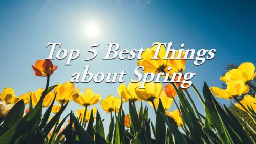 56 - Top 5 Best Things about Spring - PodCavern